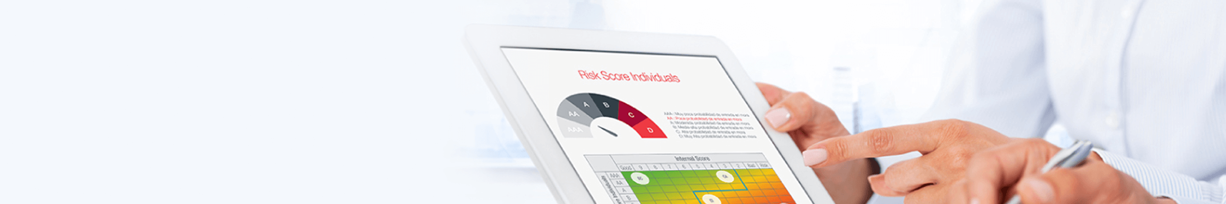 Risk Score Individuals | Empresa | Equifax España